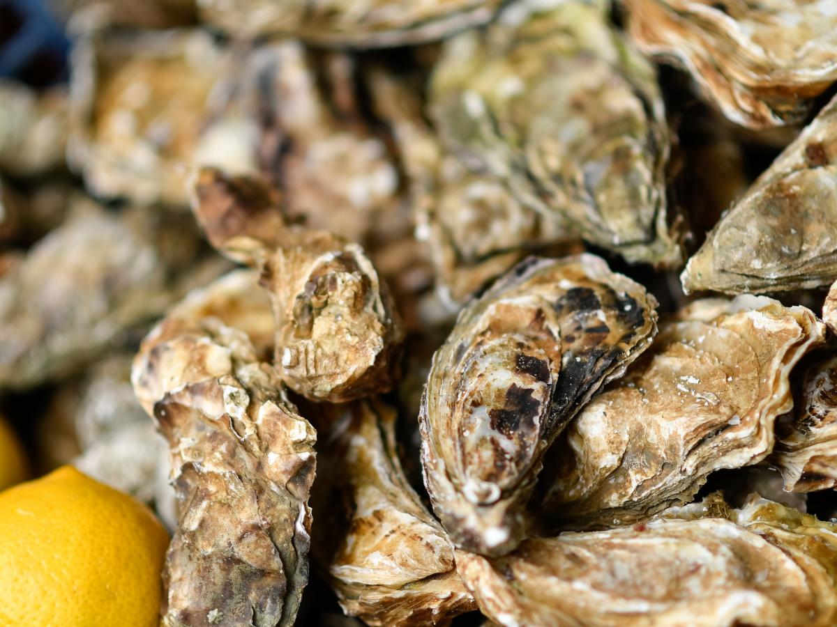 Les Huîtres de Cancale | Saint-Malo – Baie du Mont-Saint-Michel – Tourisme
