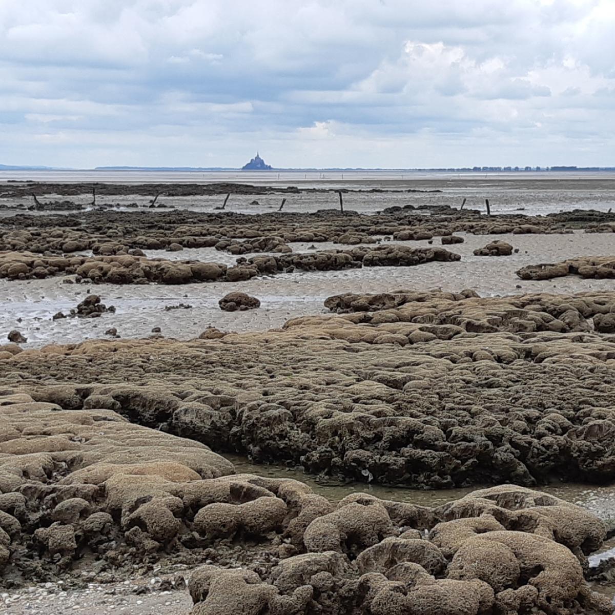 Dol-de-Bretagne La Cité Rayonnante | Saint-Malo – Baie du Mont-Saint ...