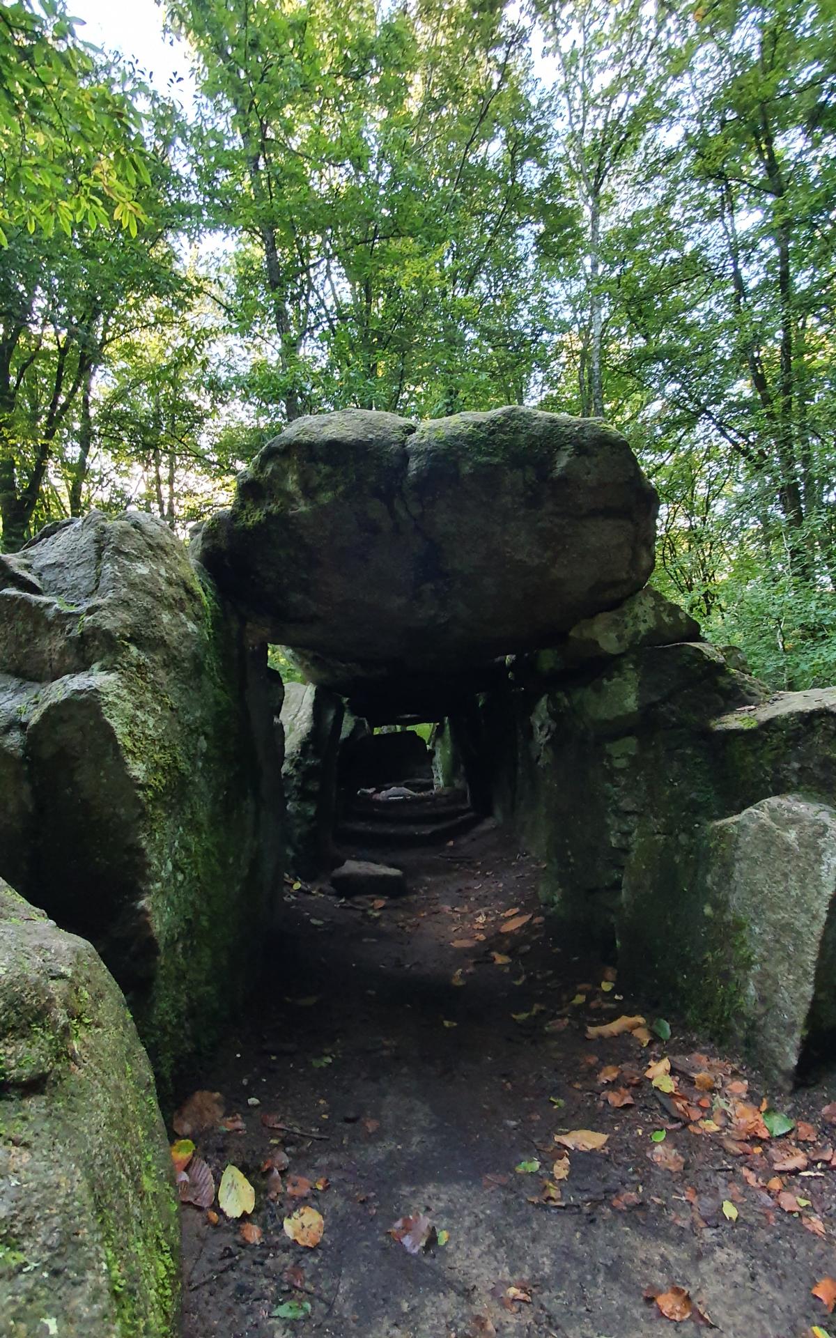 Covered walkway in the Mesnil forest | Saint-Malo – Mont-Saint-Michel Bay – Tourism
