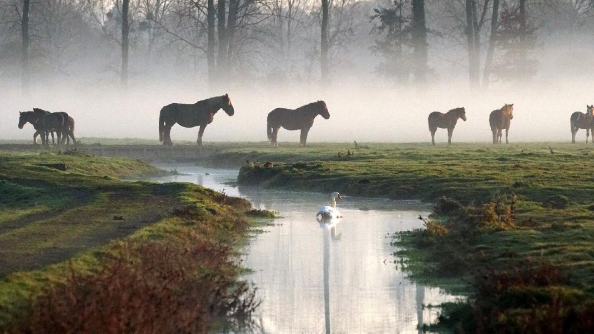 L’été Indien | Saint-Malo – Baie du Mont-Saint-Michel – Tourisme